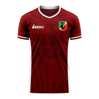 DR Congo 2025-2026 Home Concept Football Kit (Libero) [DRCONGOHOME21 ...